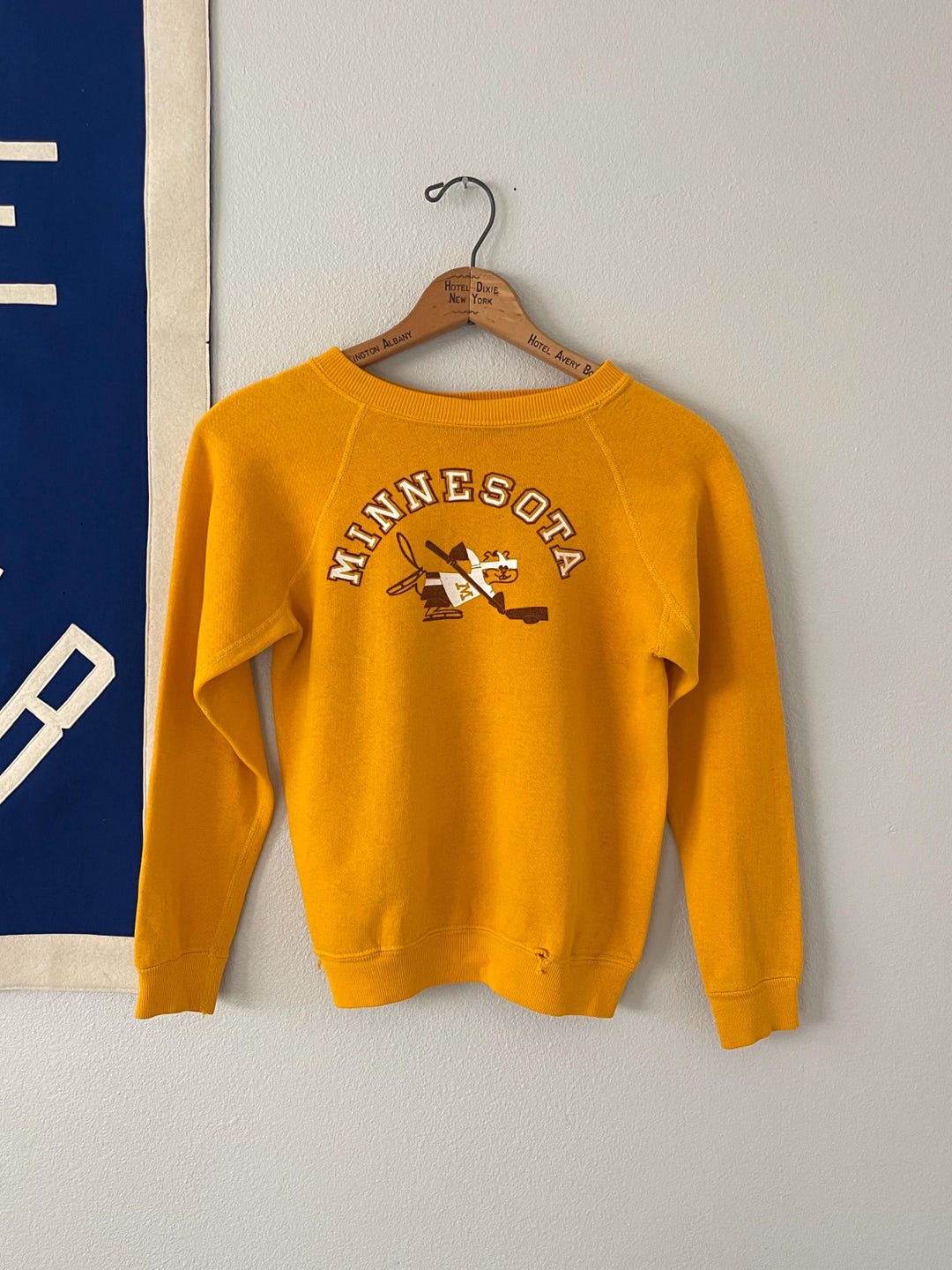 1970s Champion Minnesota Gophers Sweatshirt Raglan Mascot Blue Bar ...