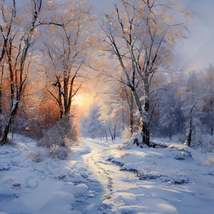 First Winters' Snowfall Winter Wall Art, Pathway Home. Winter Jpg ...