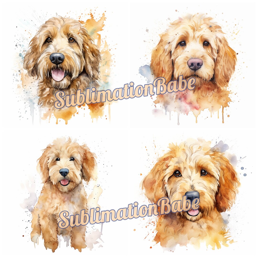 Bundle Watercolor Golden Doodle Set of 4 Sublimation Downloadable ...