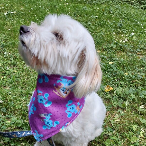 Dog Drool Bib - Etsy