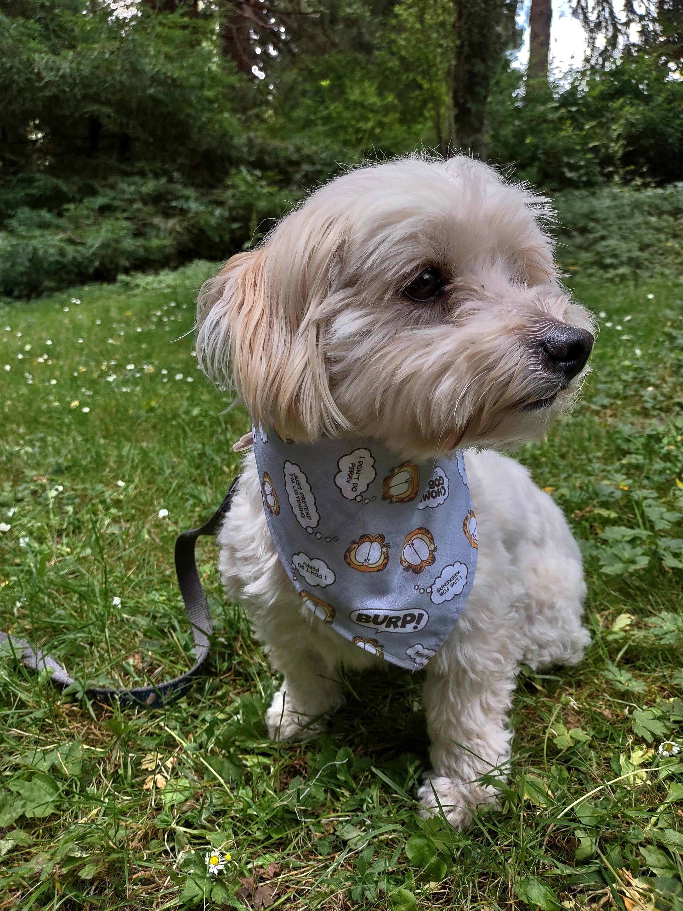 Garfield Drool Bib Bandana Dribble Bibdana Baby Infant - Etsy