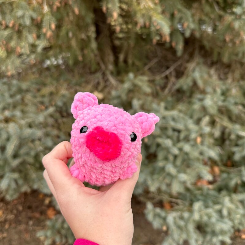 Pig Stress Toy - Etsy