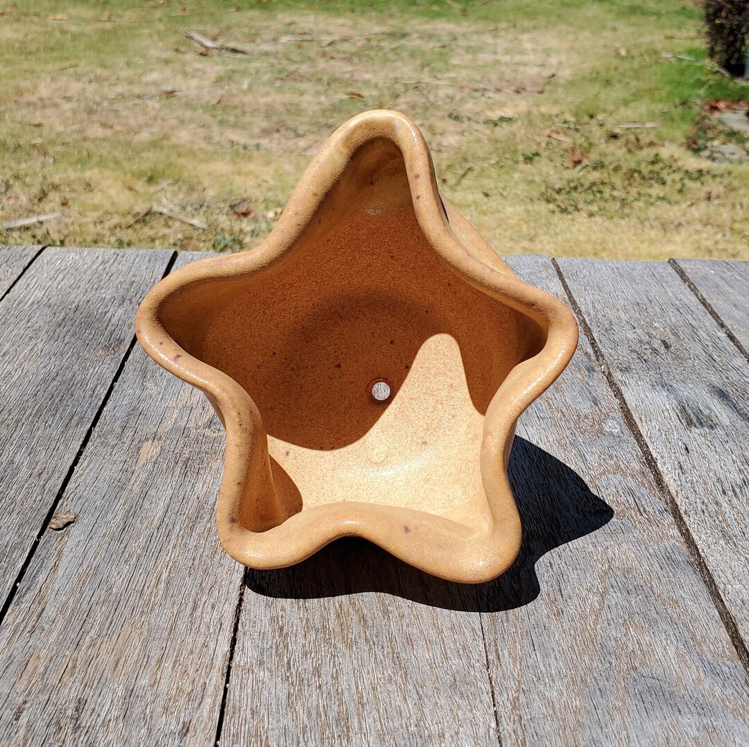 Small Star Plant Pot - Etsy