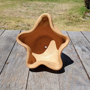 Small Star Plant Pot - Etsy