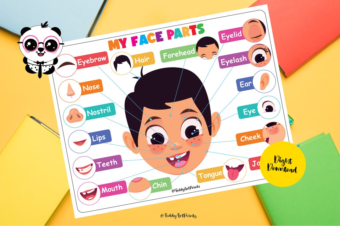 My Face Parts Montessori Materials, Educational Prints, - Etsy