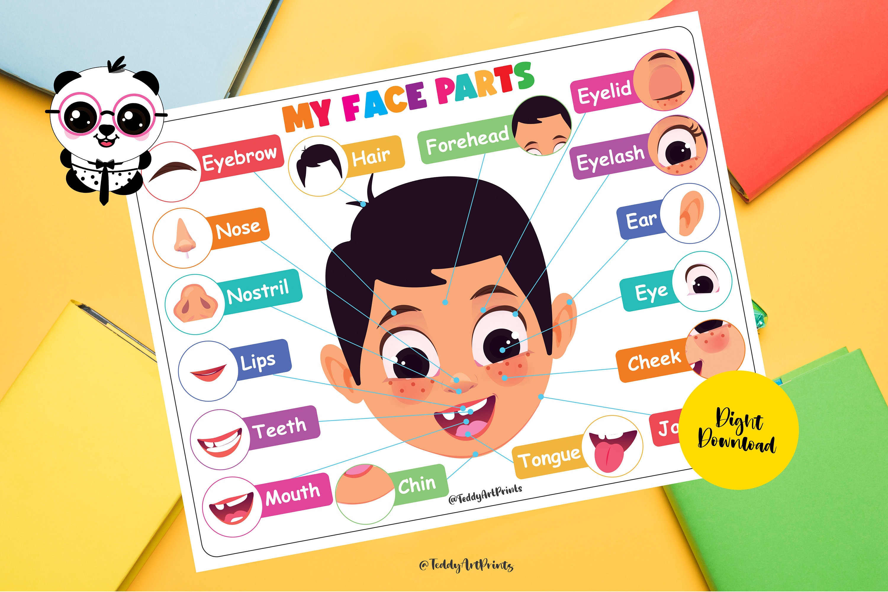 My Face Parts Montessori Materials, Educational Prints, - Etsy