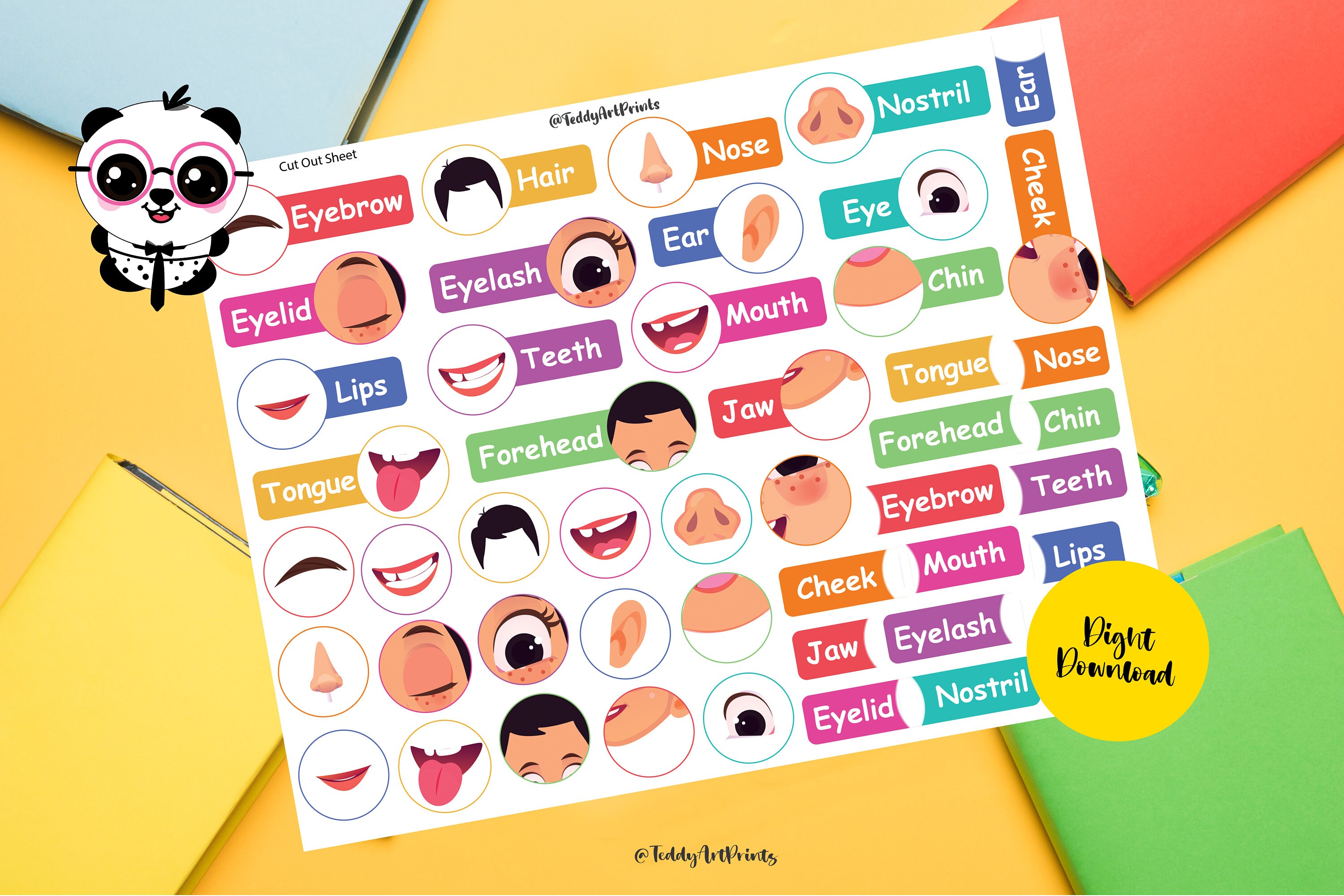 My Face Parts Montessori Materials, Educational Prints, - Etsy