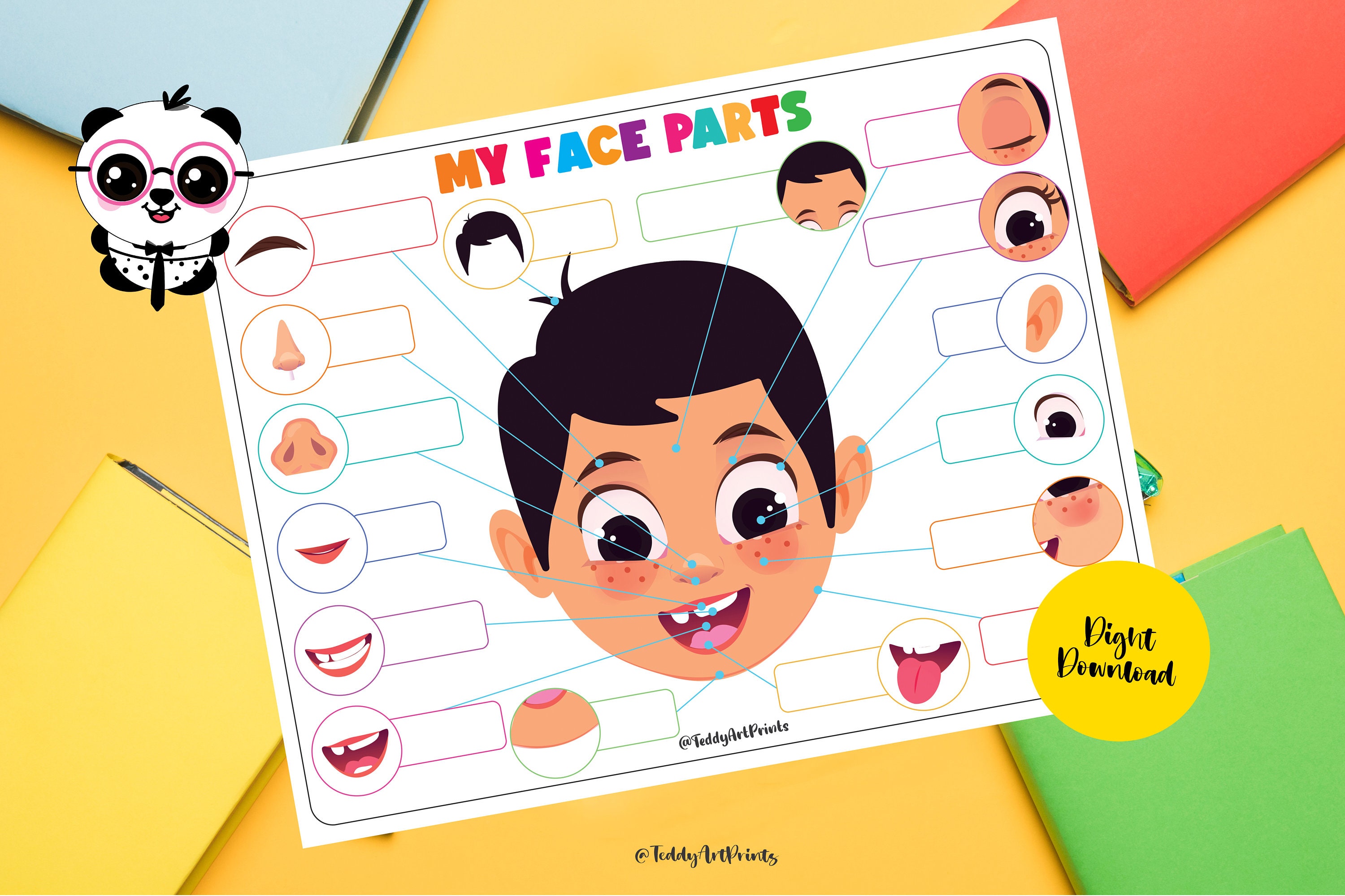 My Face Parts Montessori Materials, Educational Prints, - Etsy