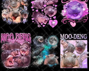 Moo Deng Bouncy Pig in Thailand Png, Moo Deng Png, Khao Kheow Open Zoo ...