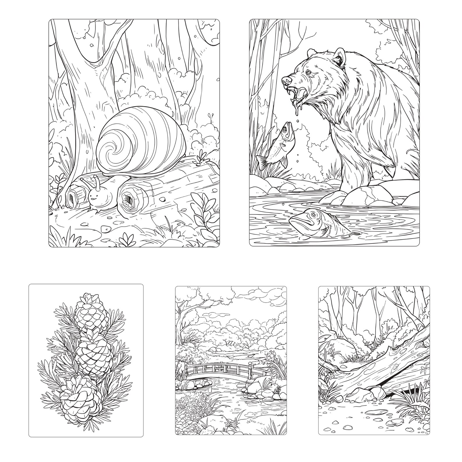 Woodland Animals Coloring Book: 45 Nature Designs (PDF Digital Download ...