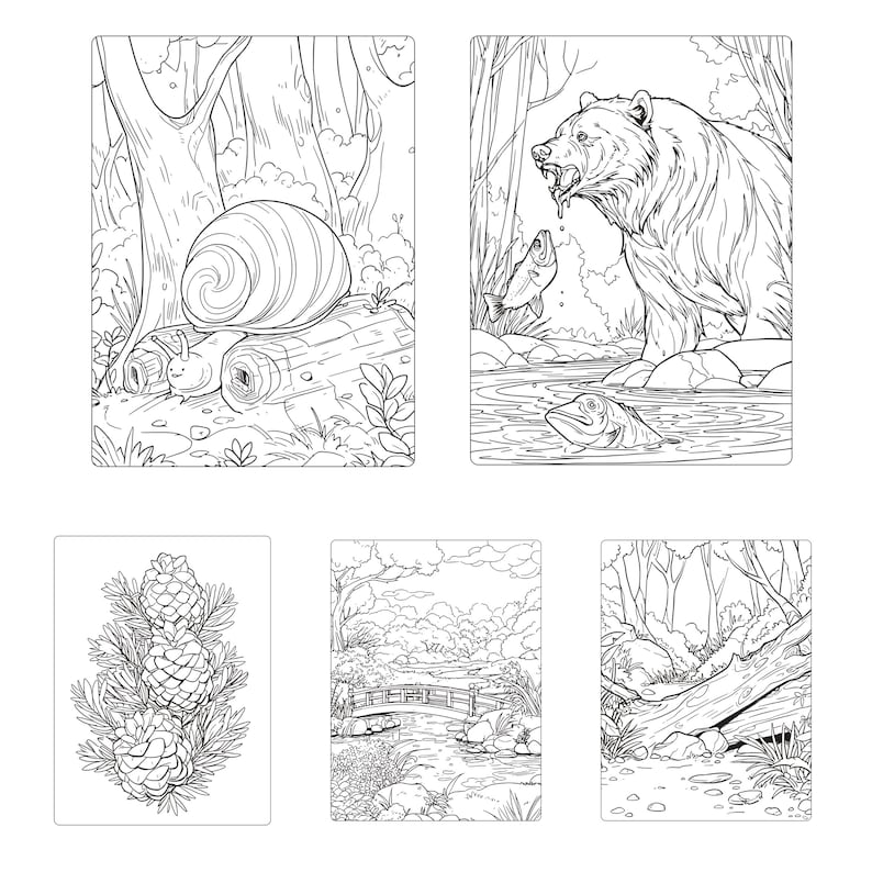 Woodland Animals Coloring Book: 45 Nature Designs (PDF Digital Download ...