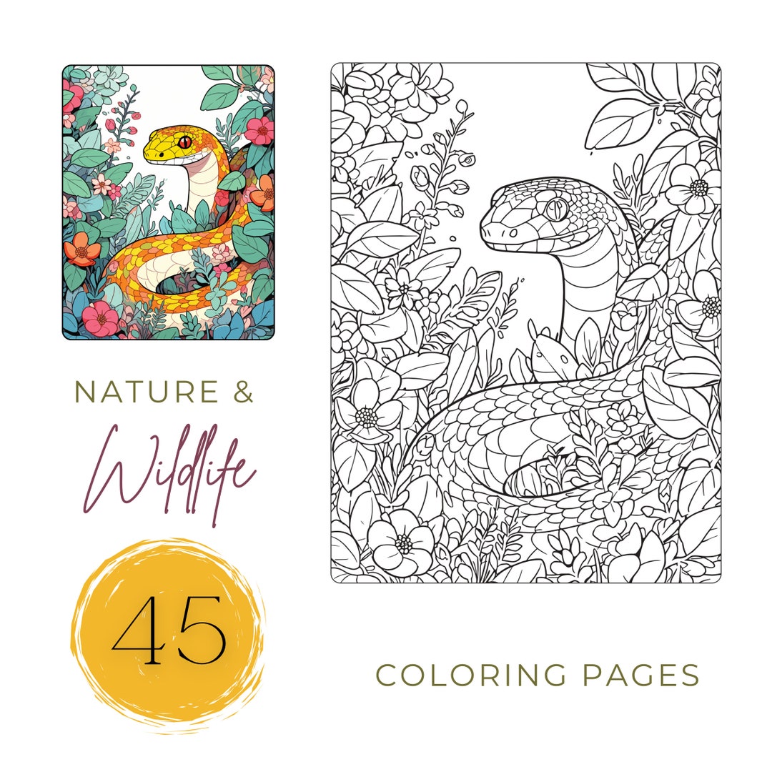 Nature and Wildlife Coloring Pages Printable Woodland Coloring Book for ...
