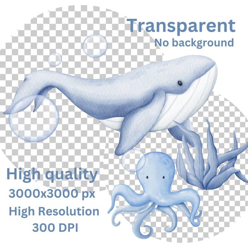 Sea Animal PNG Watercolor Clipart, Whale Png, Octopus Png, Shark Png ...
