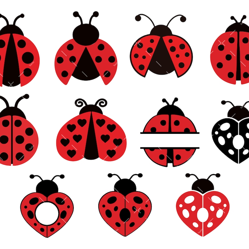 Ladybug Svg - Etsy