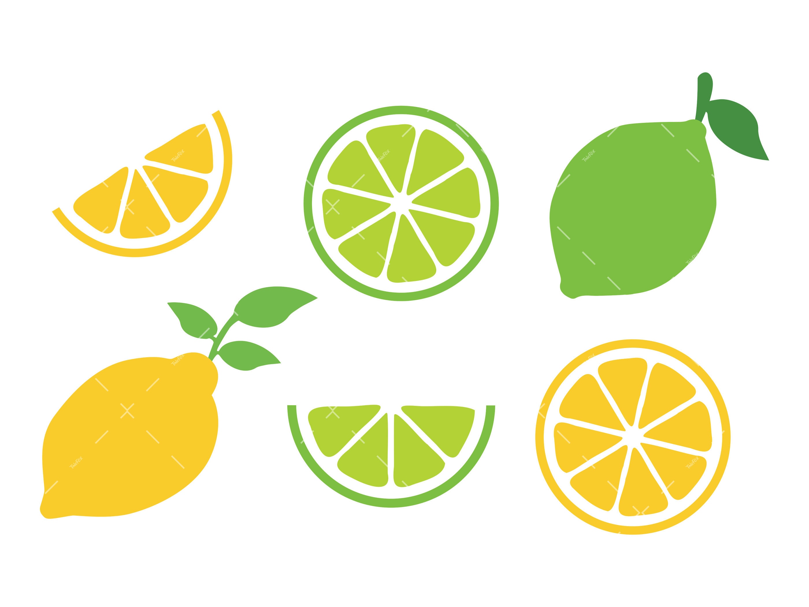 Lemon SVG, PNG, Cricut, Lime SVG, Lemon Cut File, Fruit Svg - Etsy