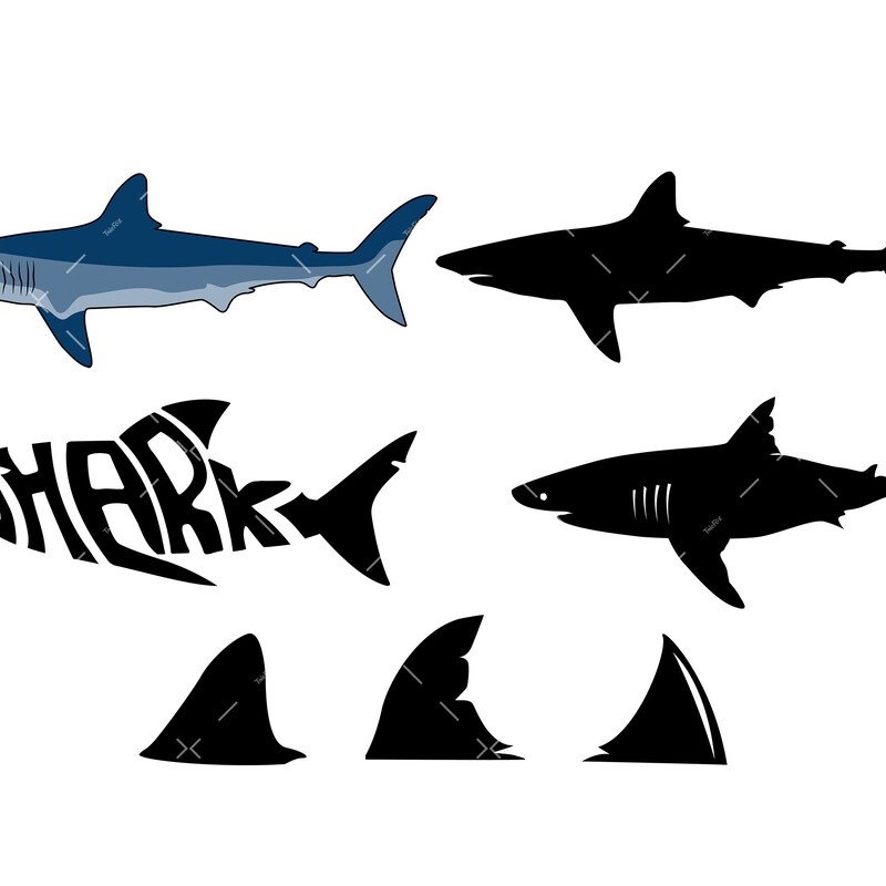 Shark Fin Svg - Etsy