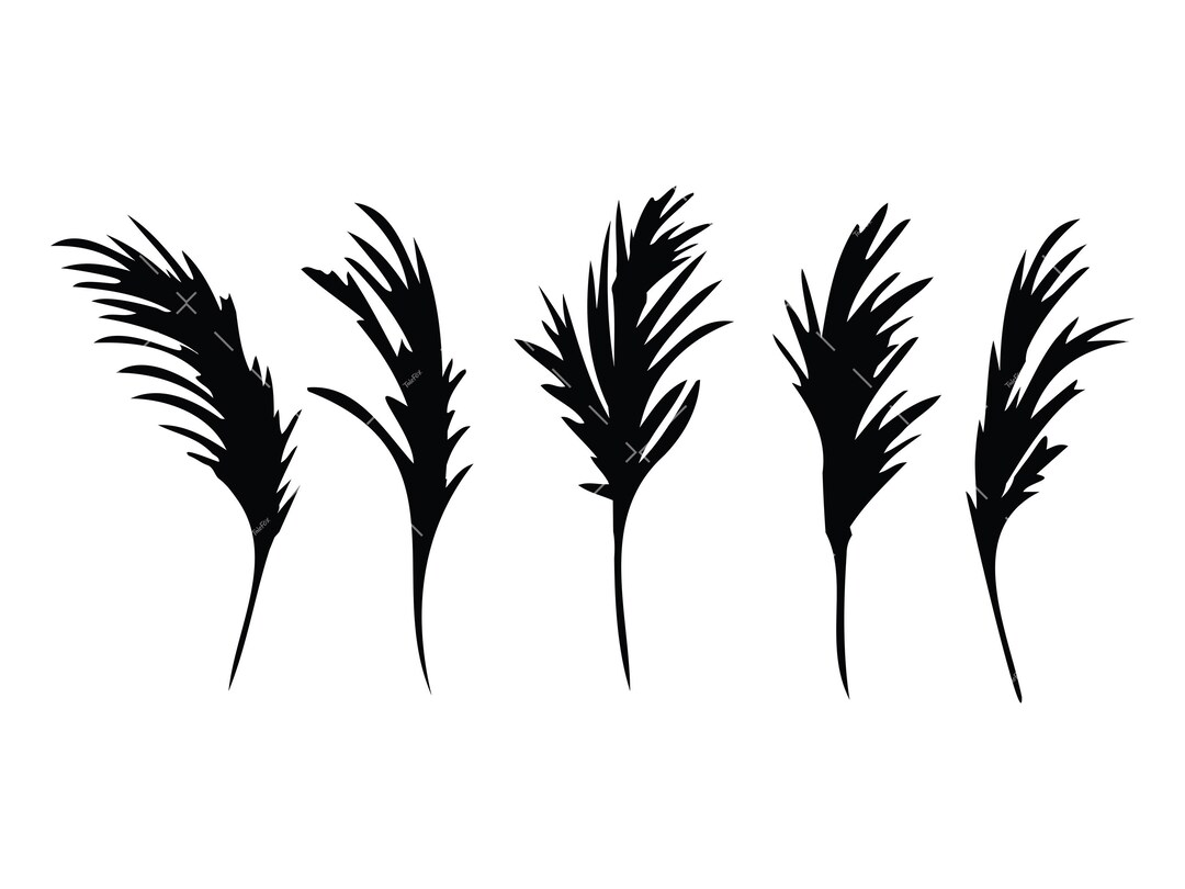 Pampas Grass SVG, PNG, Cricut, Outdoor Grass Clipart, Dried Flowers Png ...