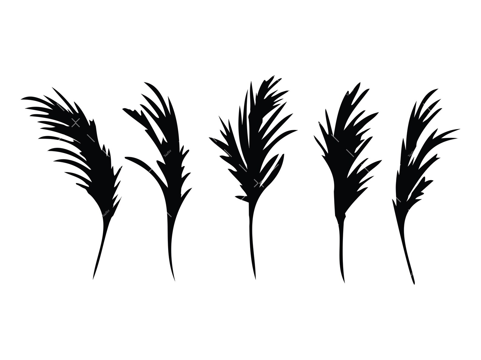 Pampas Grass SVG, PNG, Cricut, Outdoor Grass Clipart, Dried Flowers Png ...