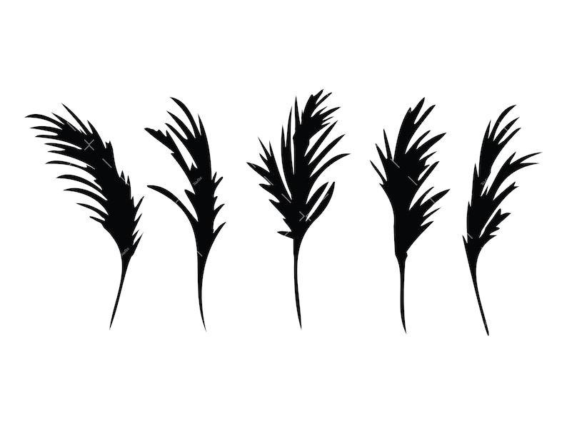 Pampas Grass SVG, PNG, Cricut, Outdoor Grass Clipart, Dried Flowers Png ...