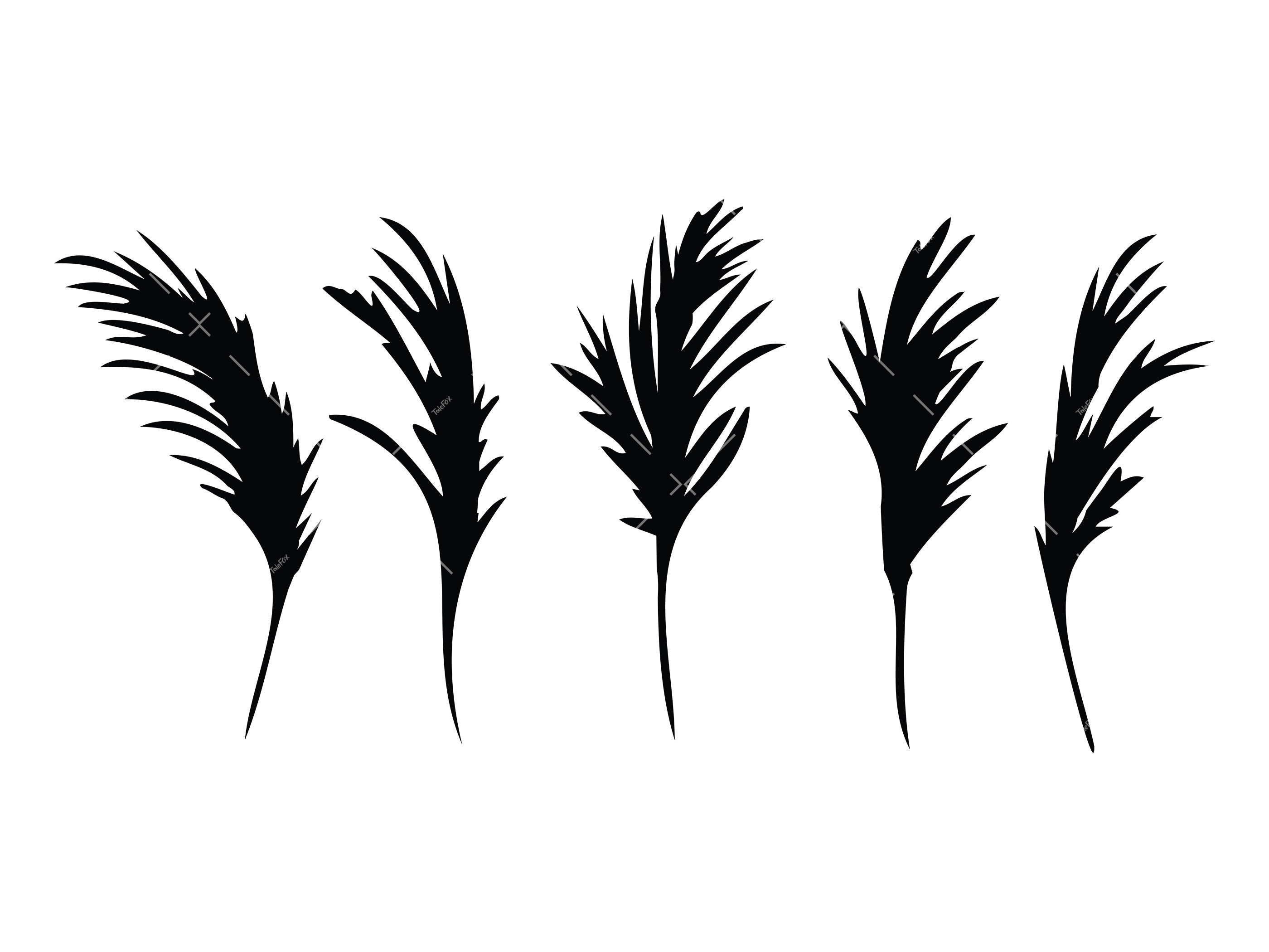 Pampas Grass SVG, PNG, Cricut, Outdoor Grass Clipart, Dried Flowers Png ...
