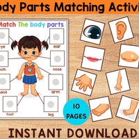 Human Body Internal Organs Craft, Printable Anatomy Craft for Kids ...