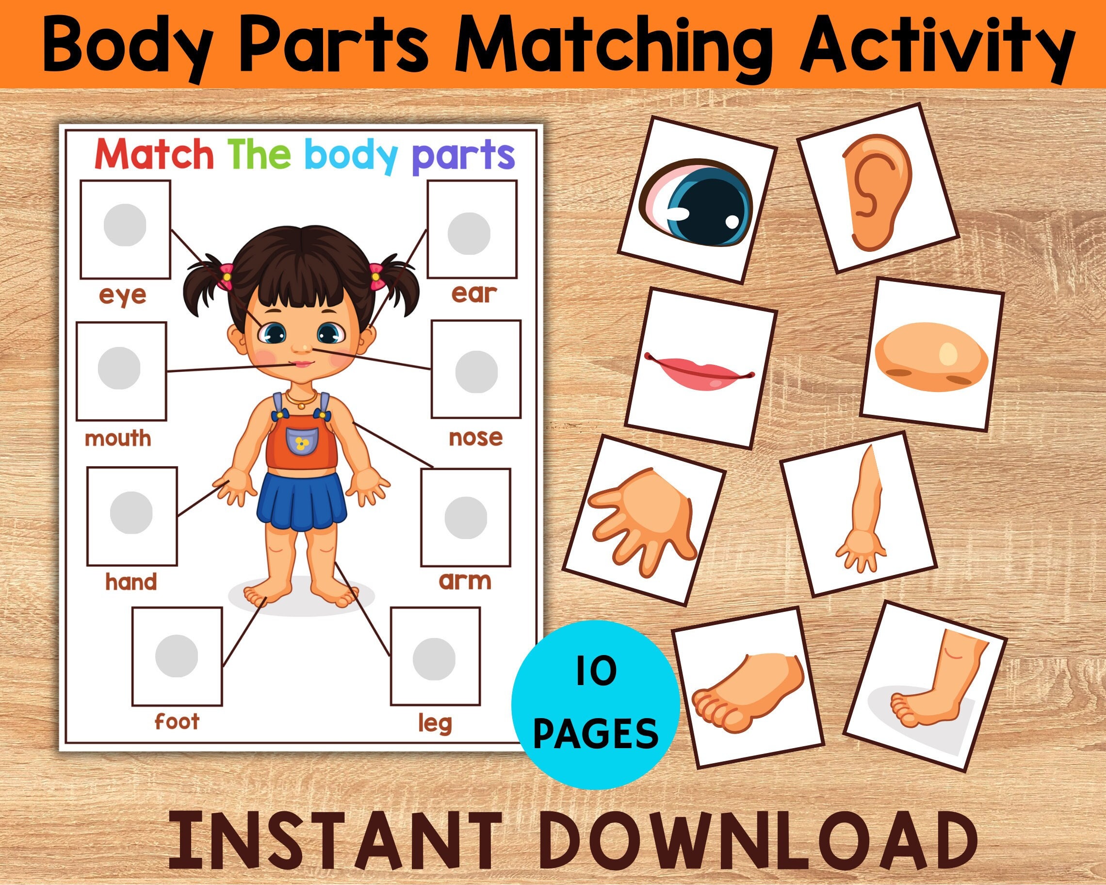 Body Parts Matching Game Bundle Activity Printable, Toddler Busy Book ...