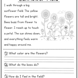 1st Grade Summer Reading Comprehension Passages Kindergarten Passages ...