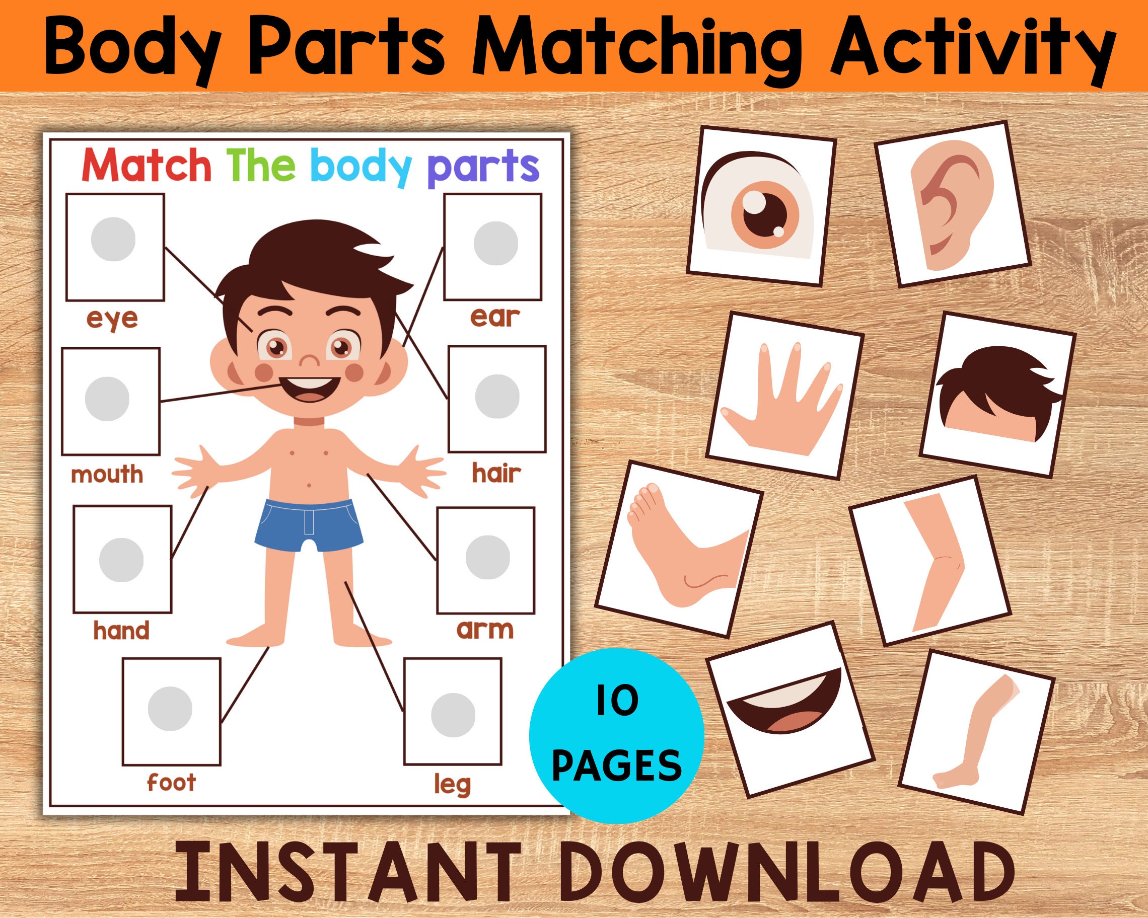 Body Parts Matching Game Bundle Activity Printable, Toddler Busy Book ...