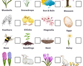 I Spy Summer Scavenger Hunt PDF Downloadable Activity Sheet Season ...