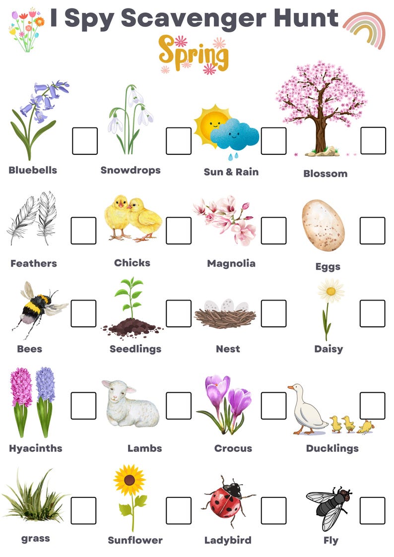 I Spy Spring Scavenger Hunt PDF Downloadable Activity Sheet Season ...