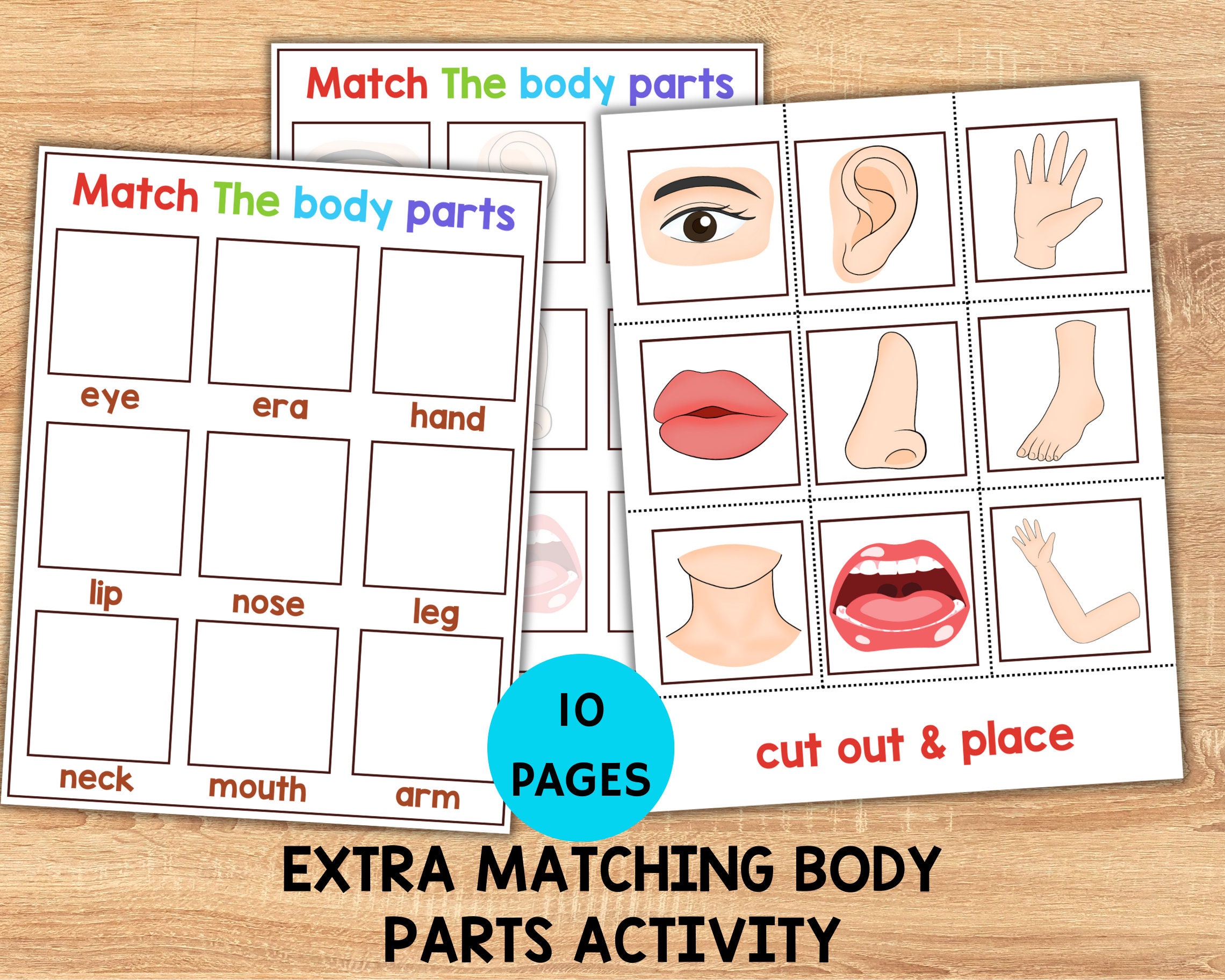 Body Parts Matching Game Bundle Activity Printable, Toddler Busy Book ...