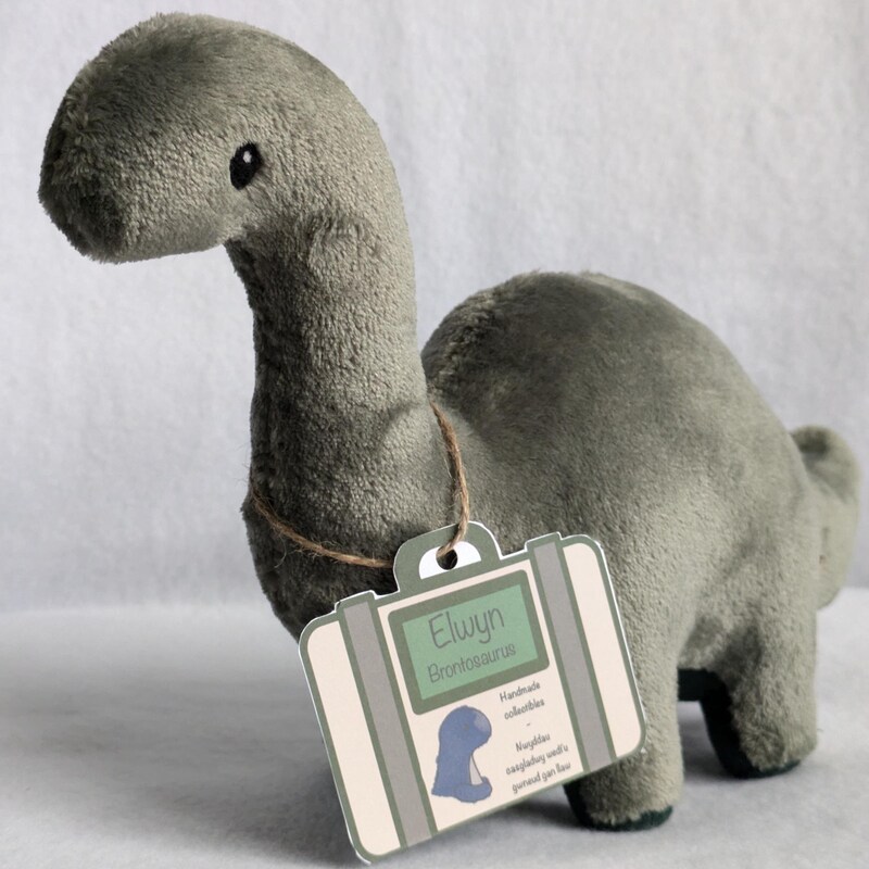 Elias Duarte Lopez Dinosaur Hapush Braids Now - Etsy Canada