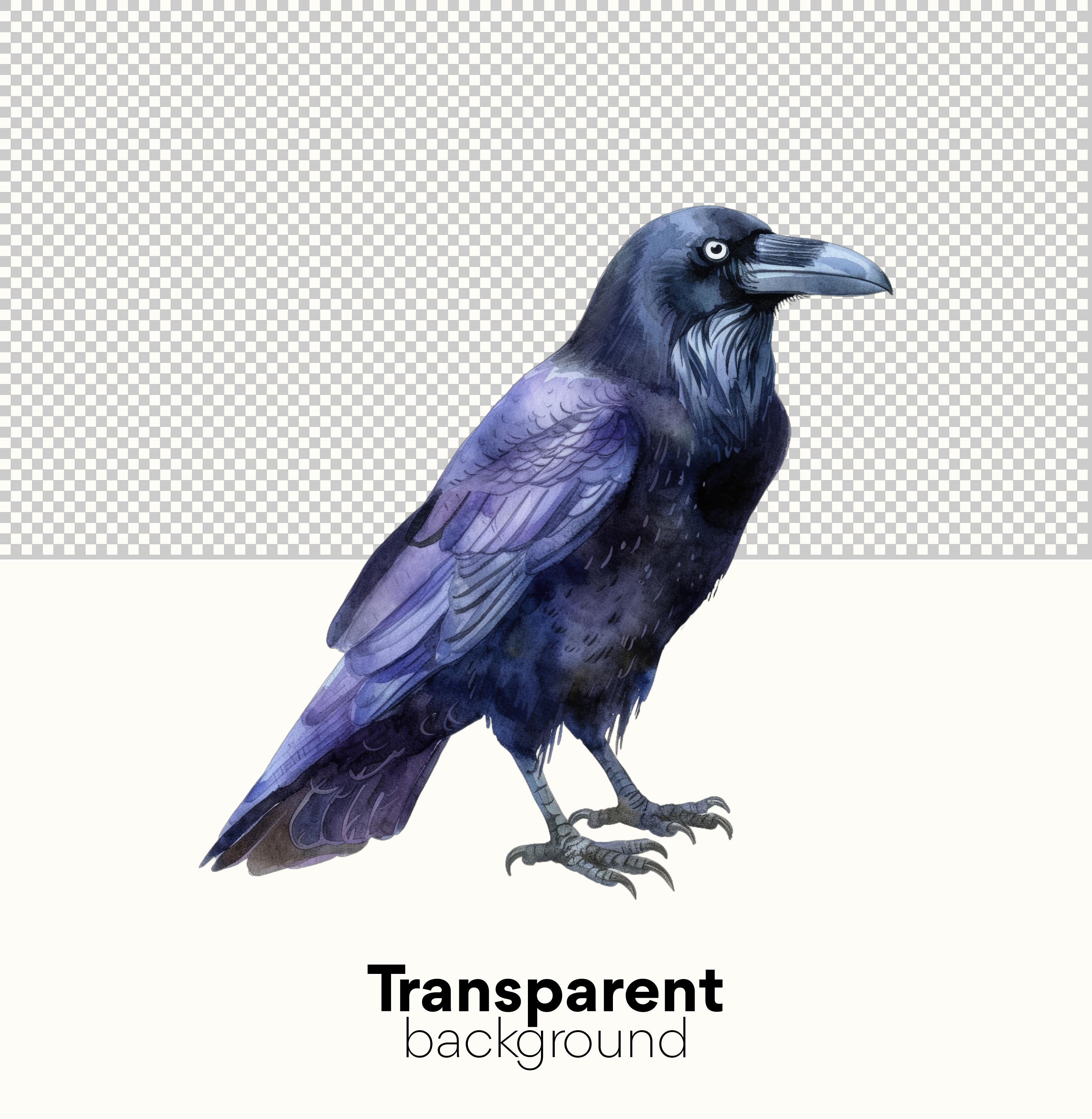 Raven Clipart Bundle: Crow, Halloween & Gothic Raven Art, Commercial ...