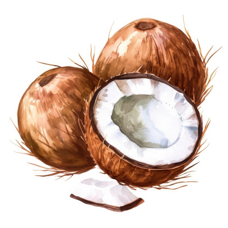 Coconut Clipart: Summer Tropical Watercolor, Fruit & Food Clipart for ...