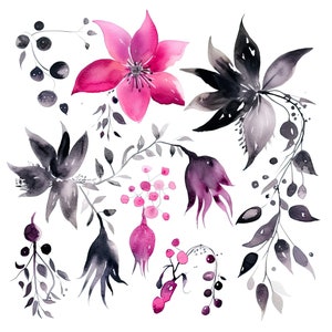 Fuchsia Black & Silver Floral Clipart: Vintage Watercolor Flower ...