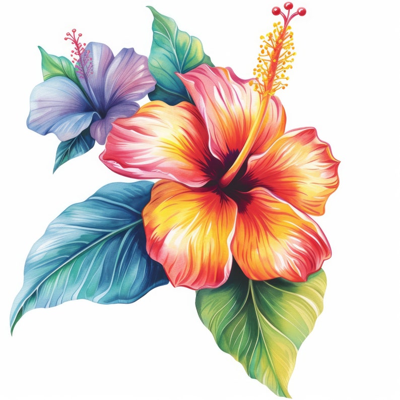 Hawaiian Flower Clipart: Hibiscus Graphics, Luau & Summer Tropical Art ...