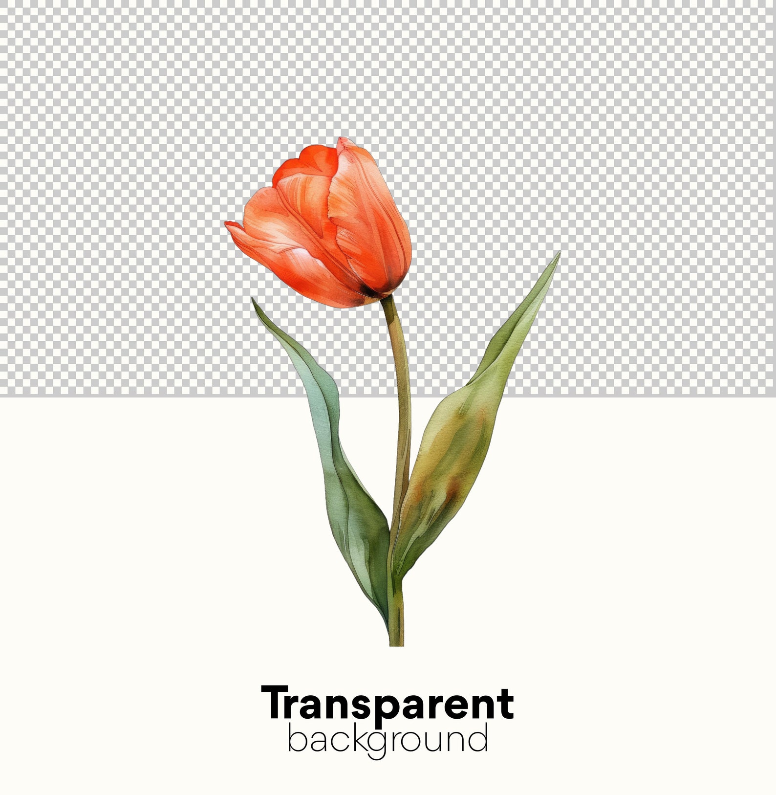 Tulip Clipart Bundle Digital Download, Commercial Use, Watercolor ...