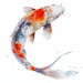 Koi Fish Clipart - Watercolor Japanese Carp Art, Tropical Fish Jpgs ...