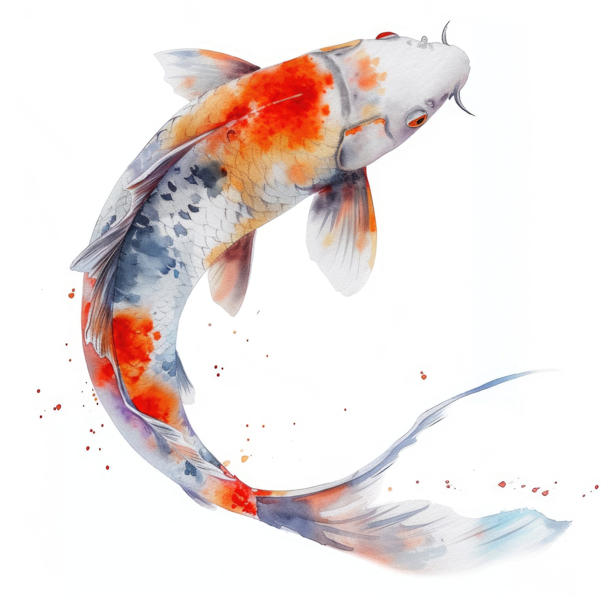 Koi Fish Clipart - Watercolor Japanese Carp Art, Tropical Fish Jpgs ...