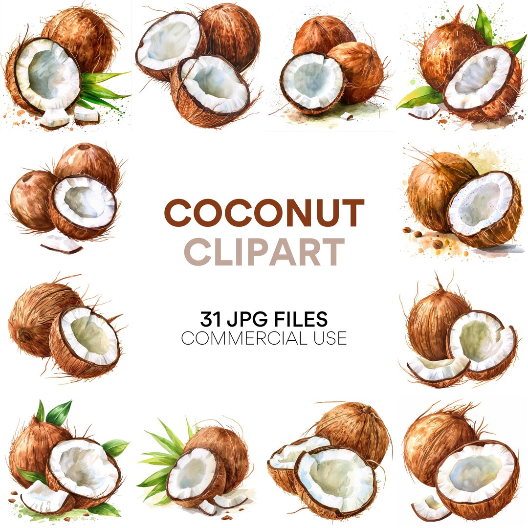 Coconut Clipart: Summer Tropical Watercolor, Fruit & Food Clipart for ...
