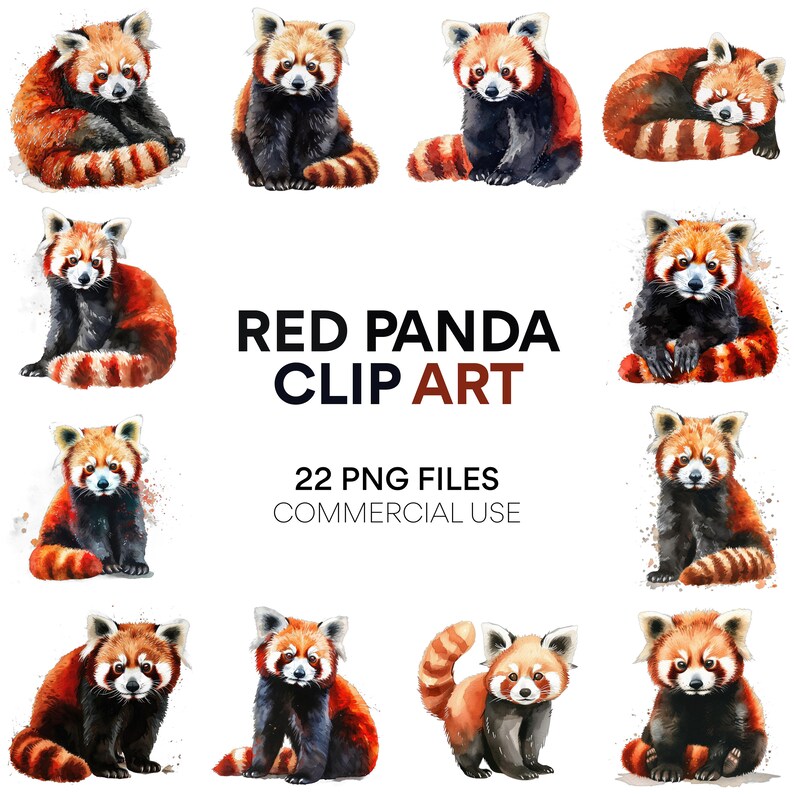 Red Panda Clip Art: Cute Animal Clipart Bundle for Digital Crafting ...