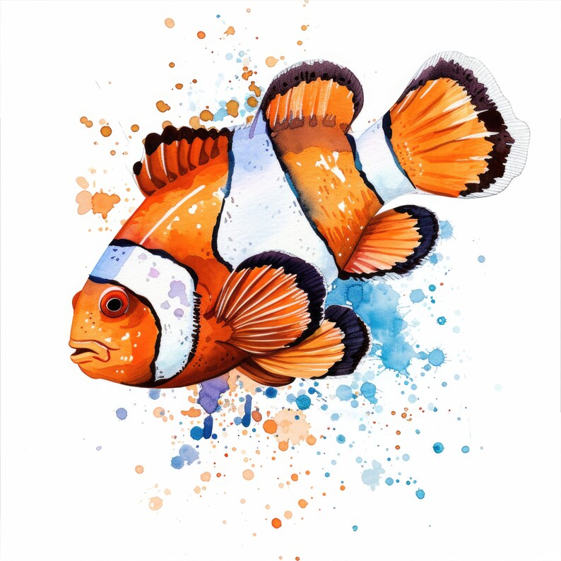 Clownfish Clipart Pack, Digital Download, Commercial Use, Fish Clipart ...