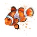 Clownfish Clipart Pack, Digital Download, Commercial Use, Fish Clipart ...