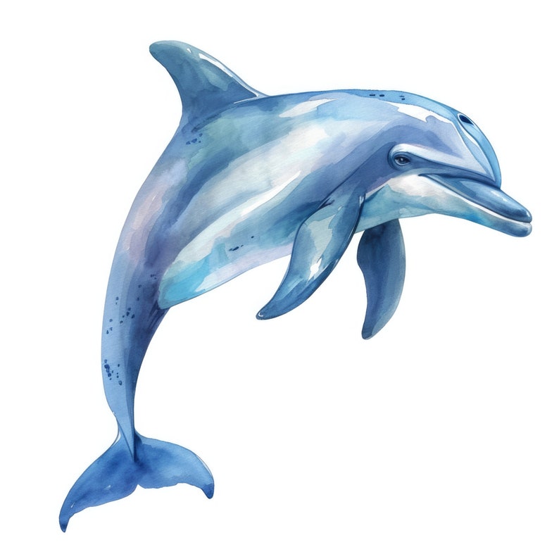 Dolphin Clipart Bundle: Watercolor Dolphin, Ocean Animals Digital ...