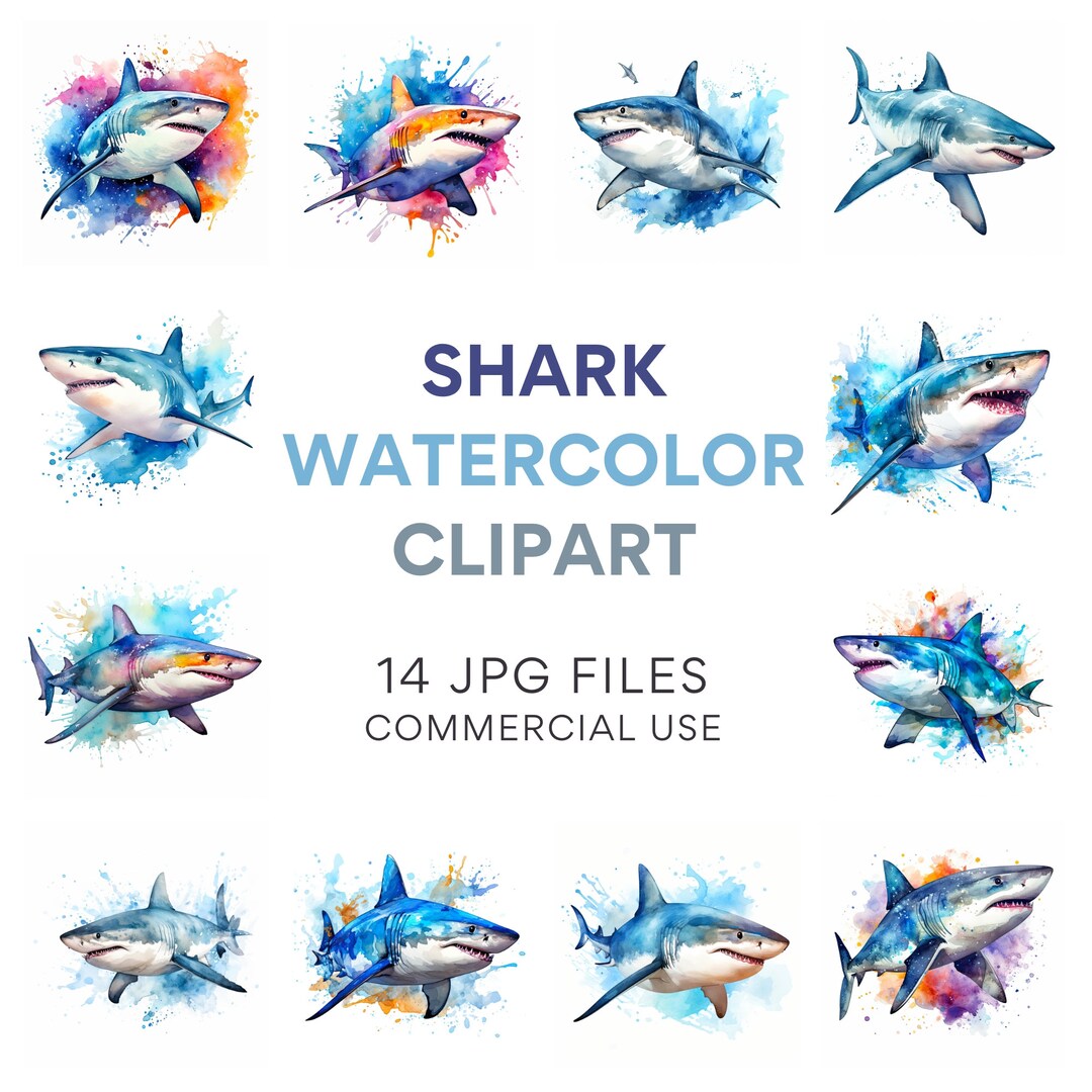 Shark Clipart Bundle: Great White Shark, Baby Shark Illustrations ...