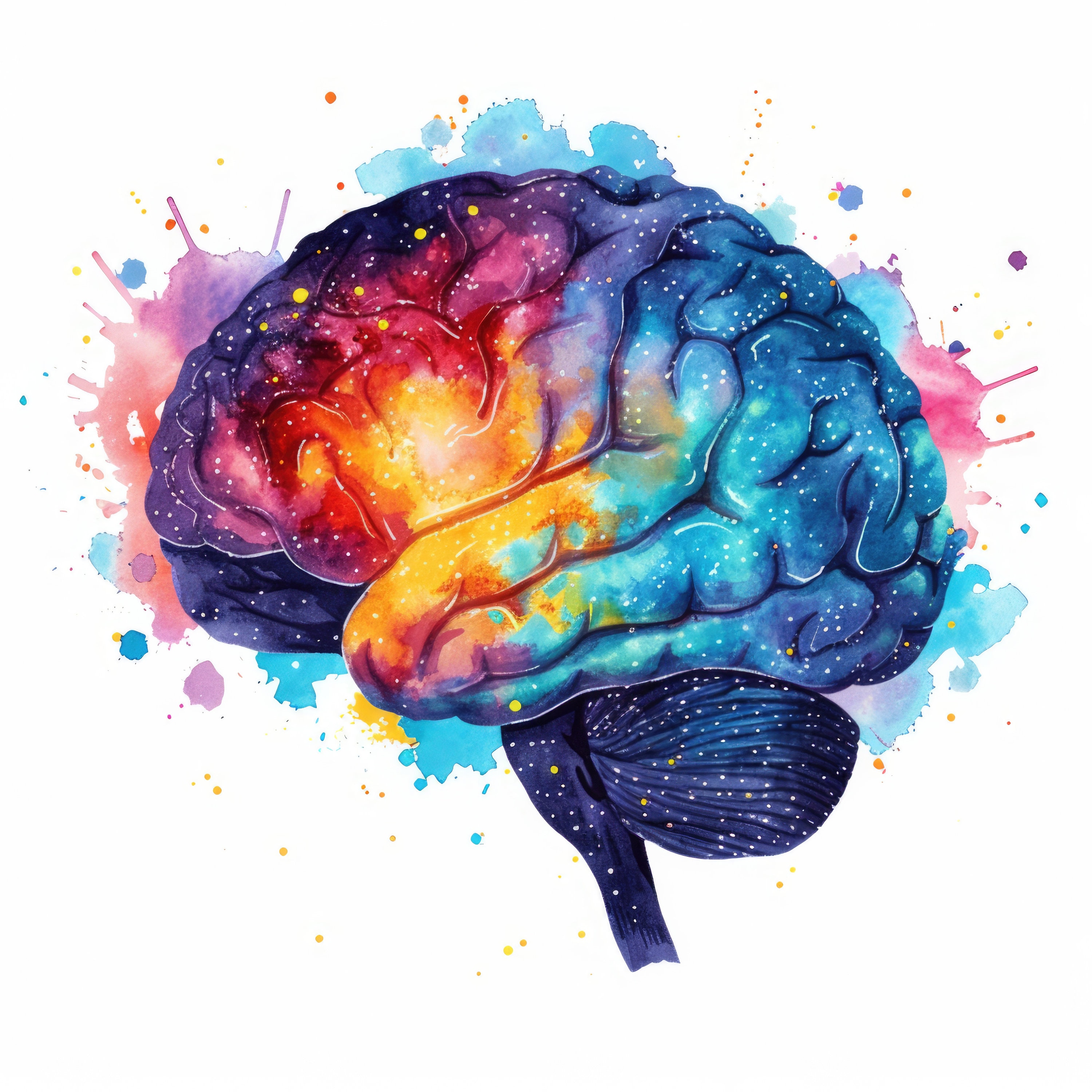 Brain Clipart JPG for Medical Art, Mental Health Diagrams, Spa Clip Art ...