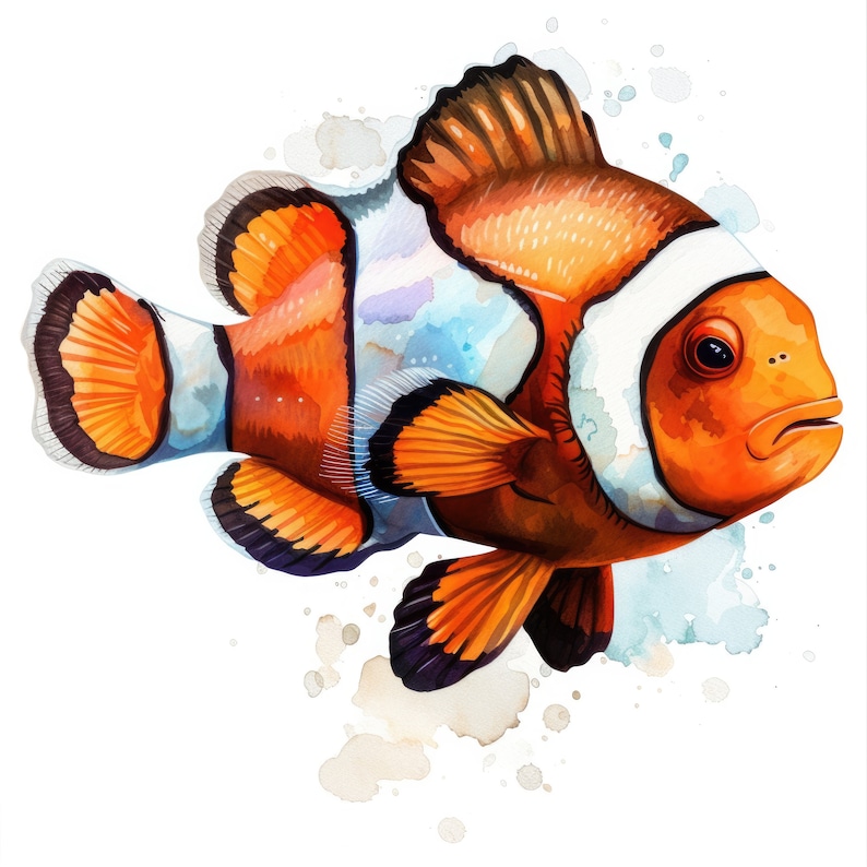 Clownfish Clipart Pack, Digital Download, Commercial Use, Fish Clipart ...