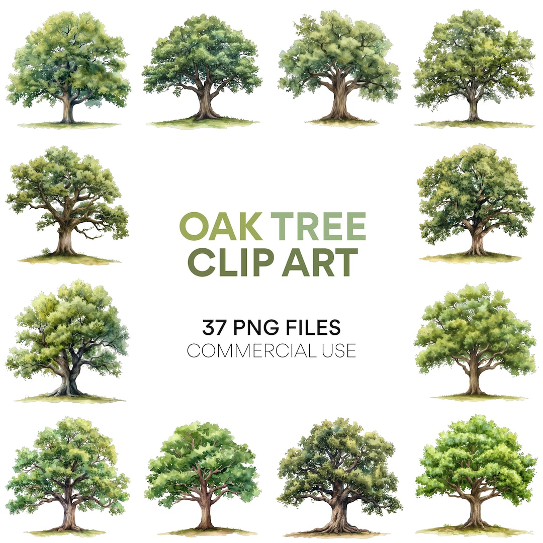 Oak Tree Clip Art Watercolor Clipart - Digital Download, Clipart Pack ...
