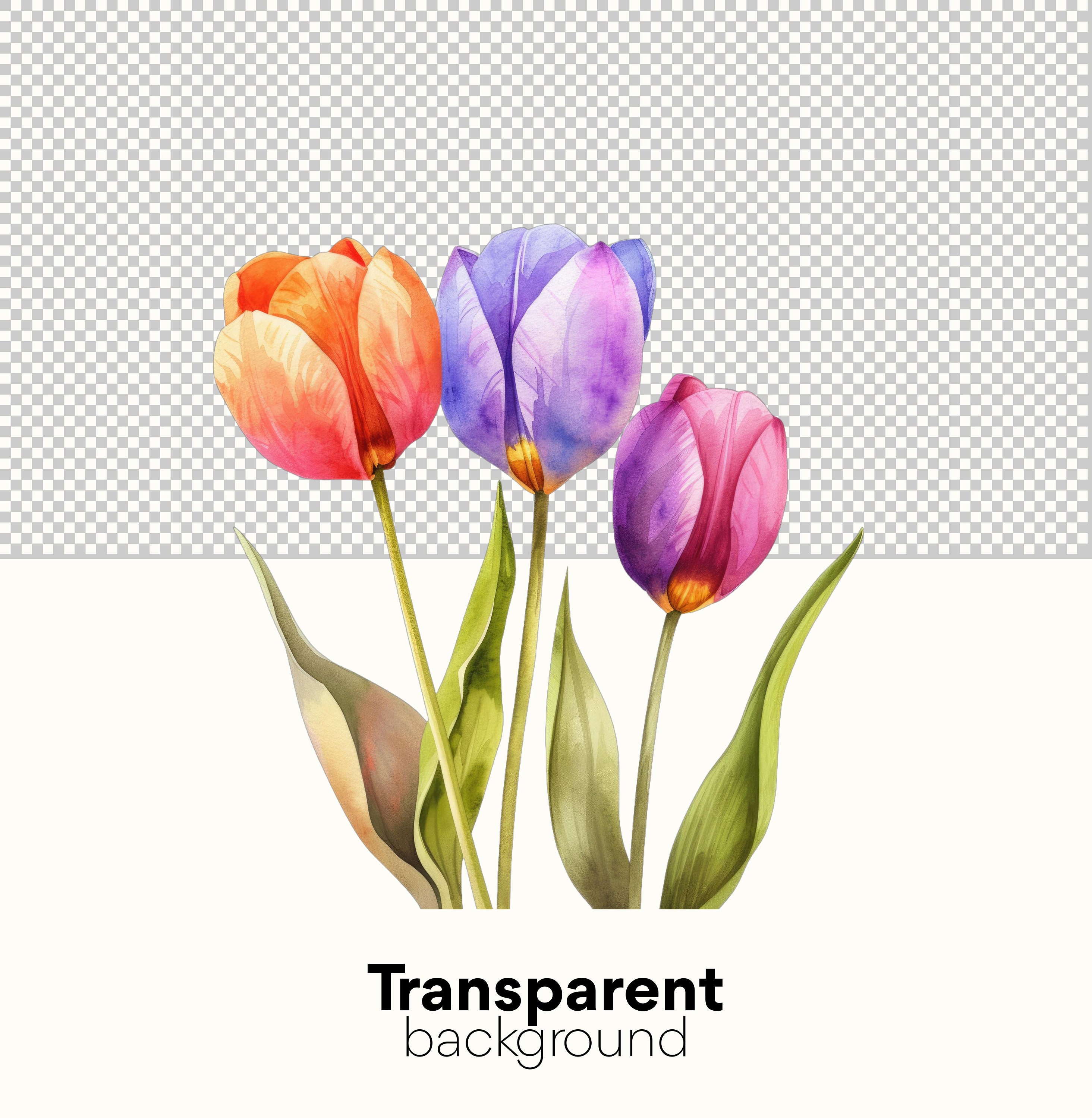 Tulip Clipart Bundle Digital Download, Commercial Use, Watercolor ...