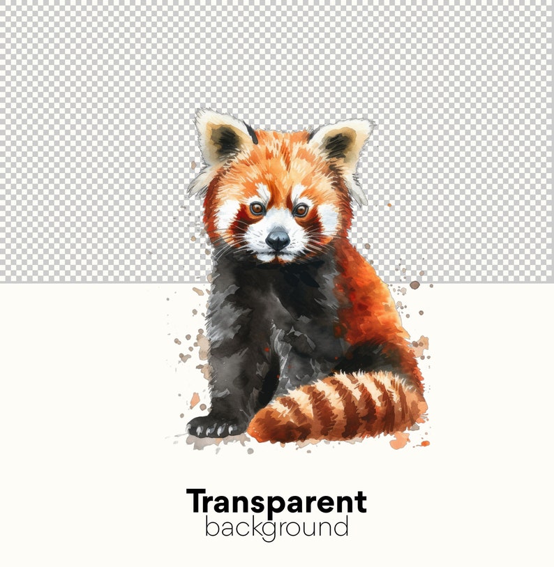 Red Panda Clip Art: Cute Animal Clipart Bundle for Digital Crafting ...